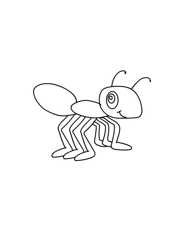Ant Is An Insect Coloring Page : Coloring Sky